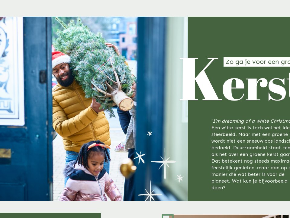 Zo ga je voor een groene kerst - Feestdagen Magazine